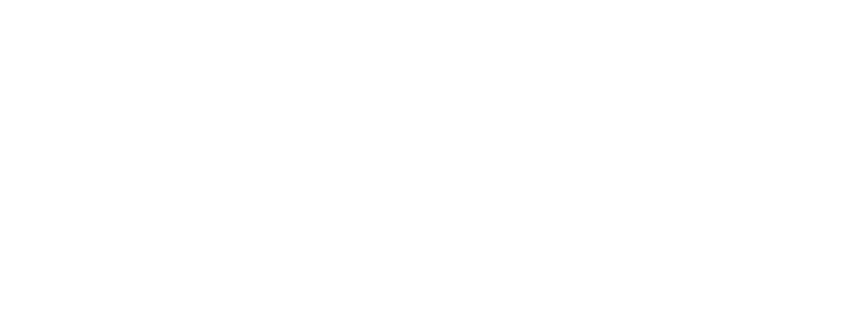 Flip